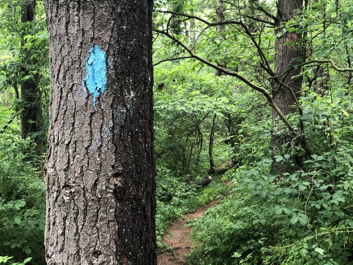 The Mason Dixon Trail Guide: Maps, Tips, and Photos - 199 miles through ...