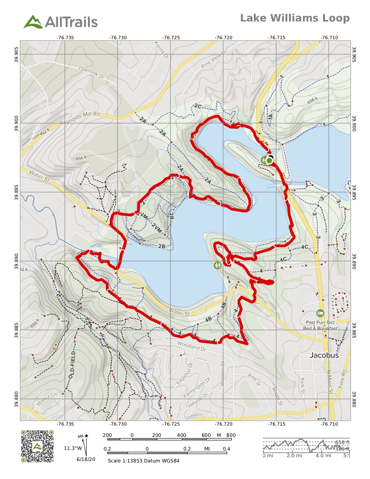 lake williams loop - The Space Between