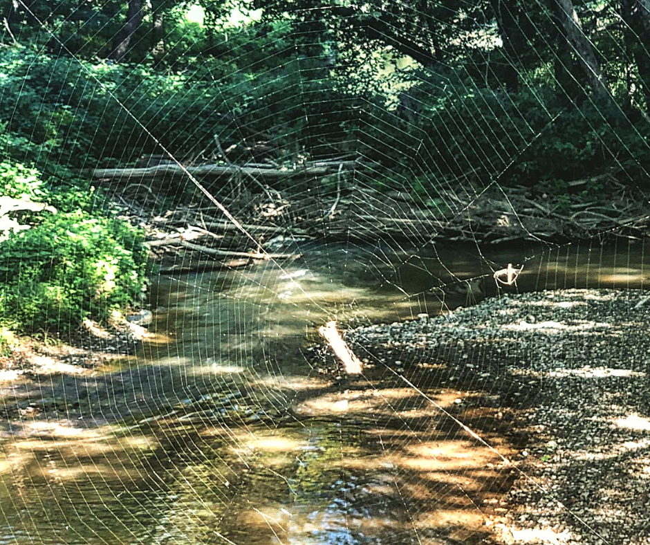 cobweb - The Space Between