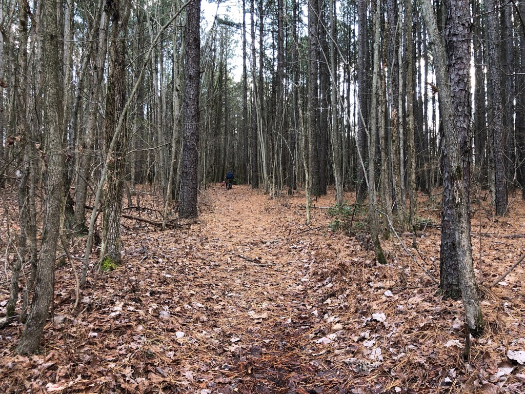 Mason Dixon Trail - Map 8 - The Space Between