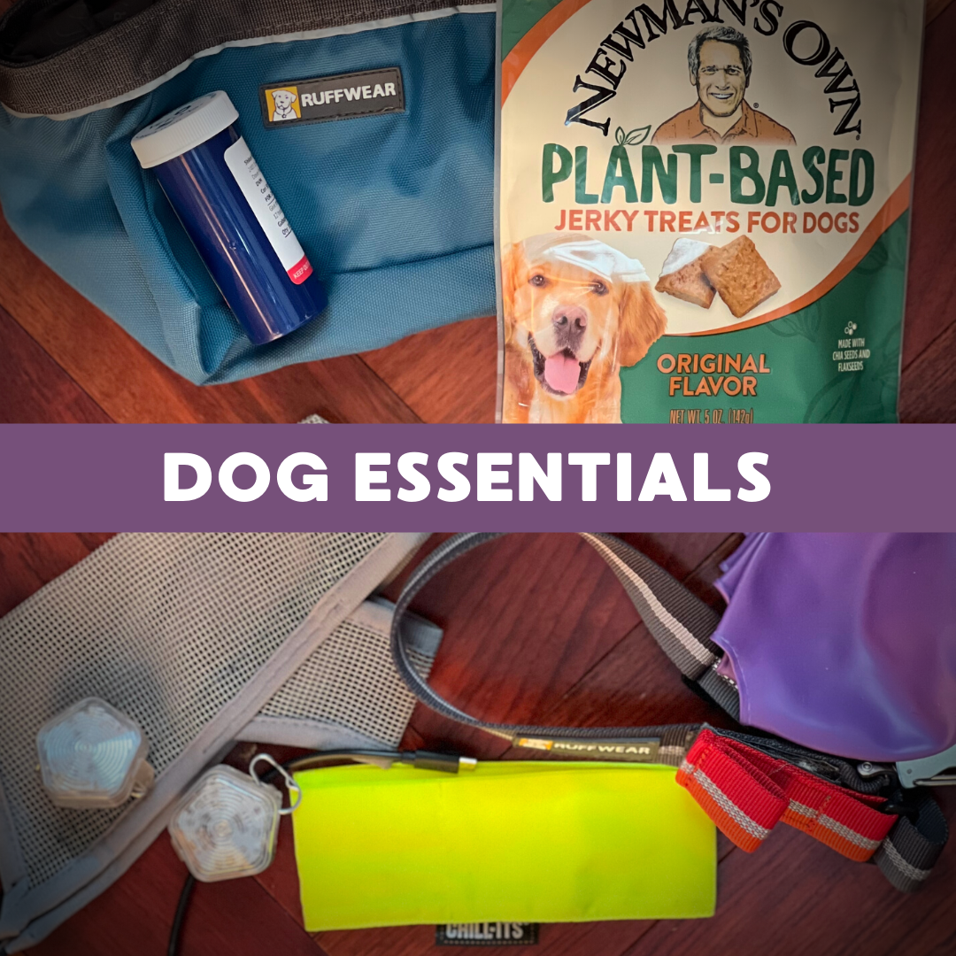 10 Essentials Dog essentials - The Space Between