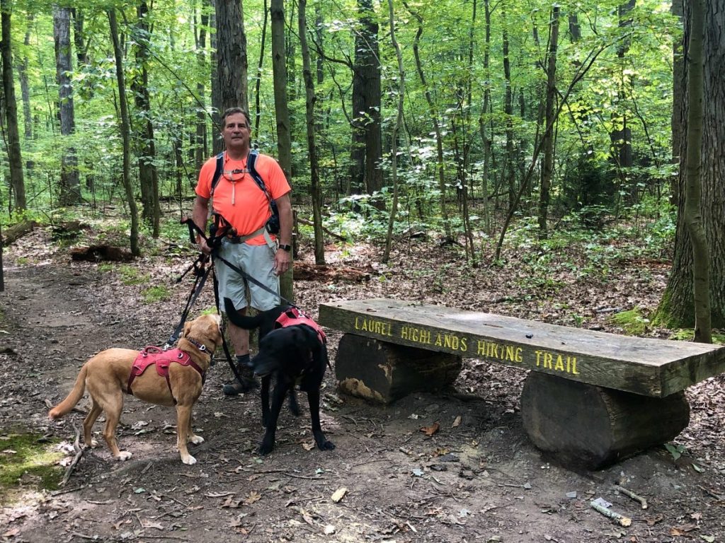 The lovely Laurel Highlands Hiking Trail - The Space Between