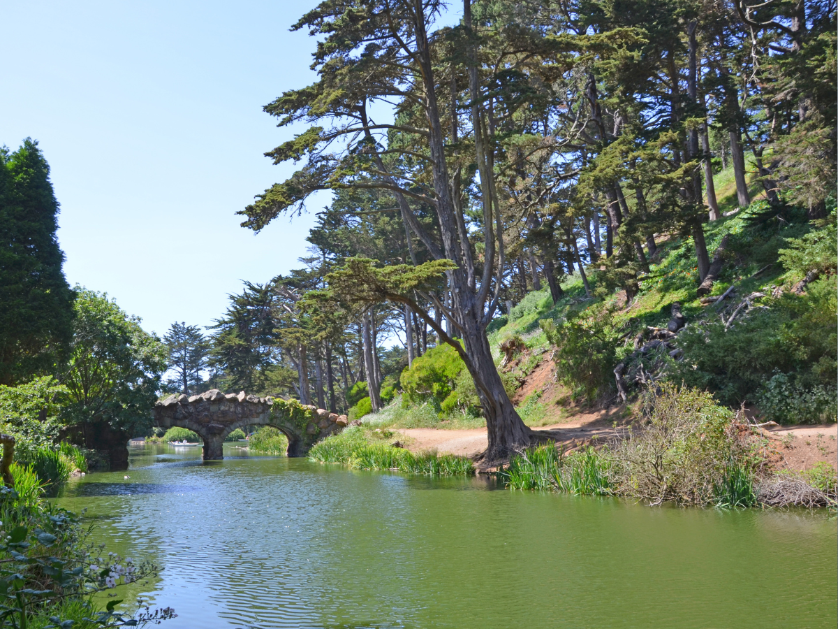 2 - The Space Between