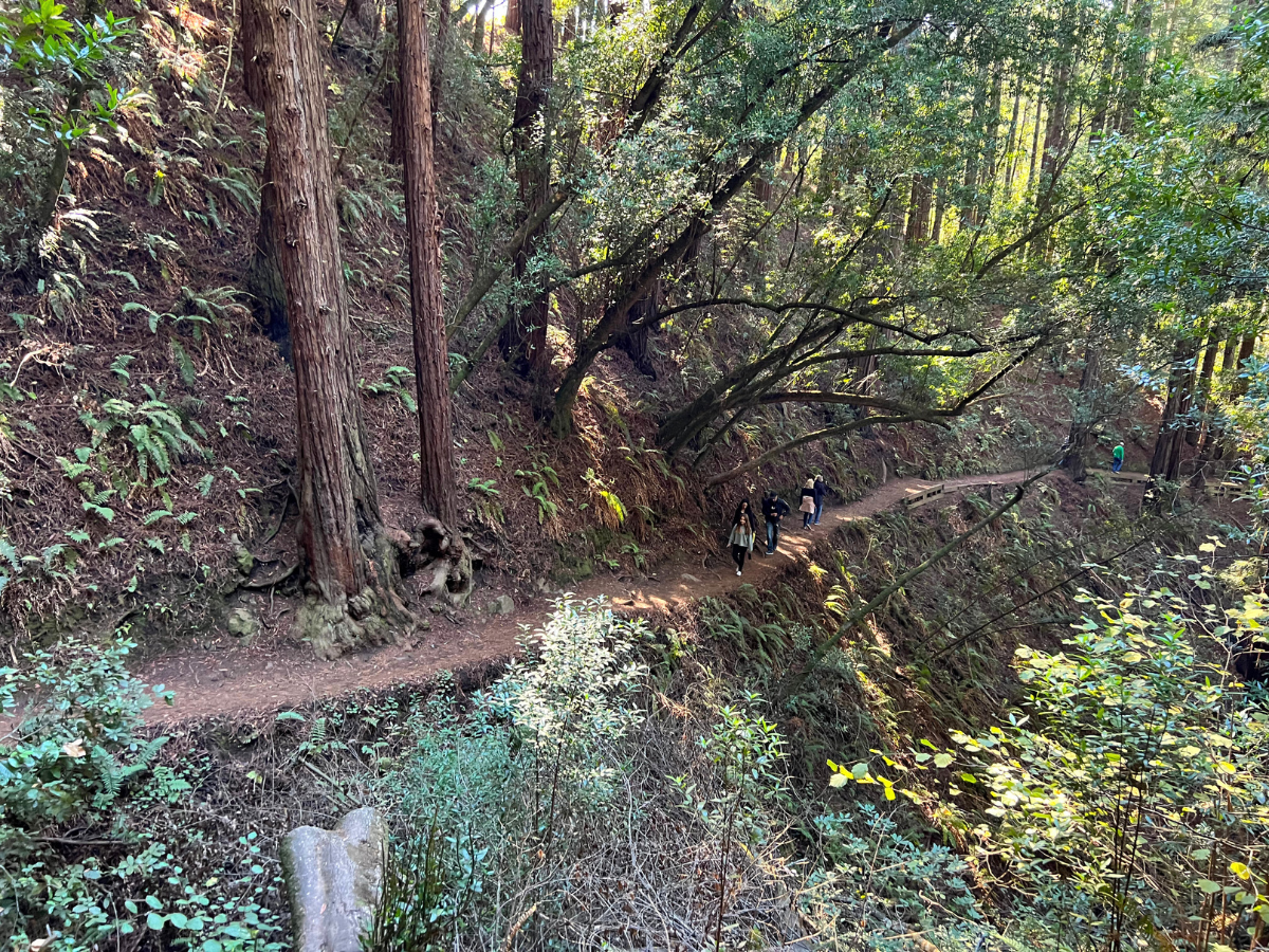 3 - The Space Between