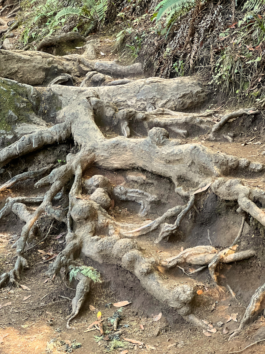 4 - The Space Between