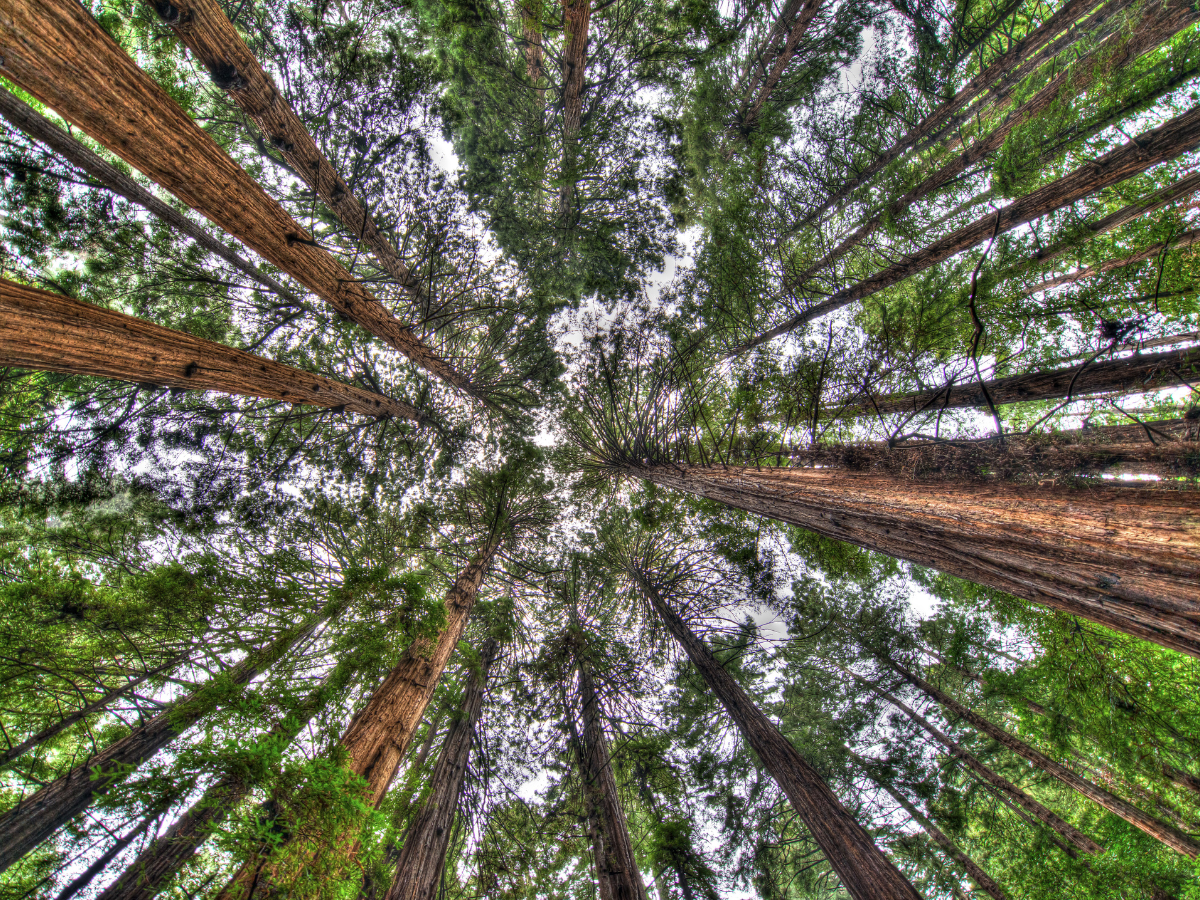 4 - The Space Between