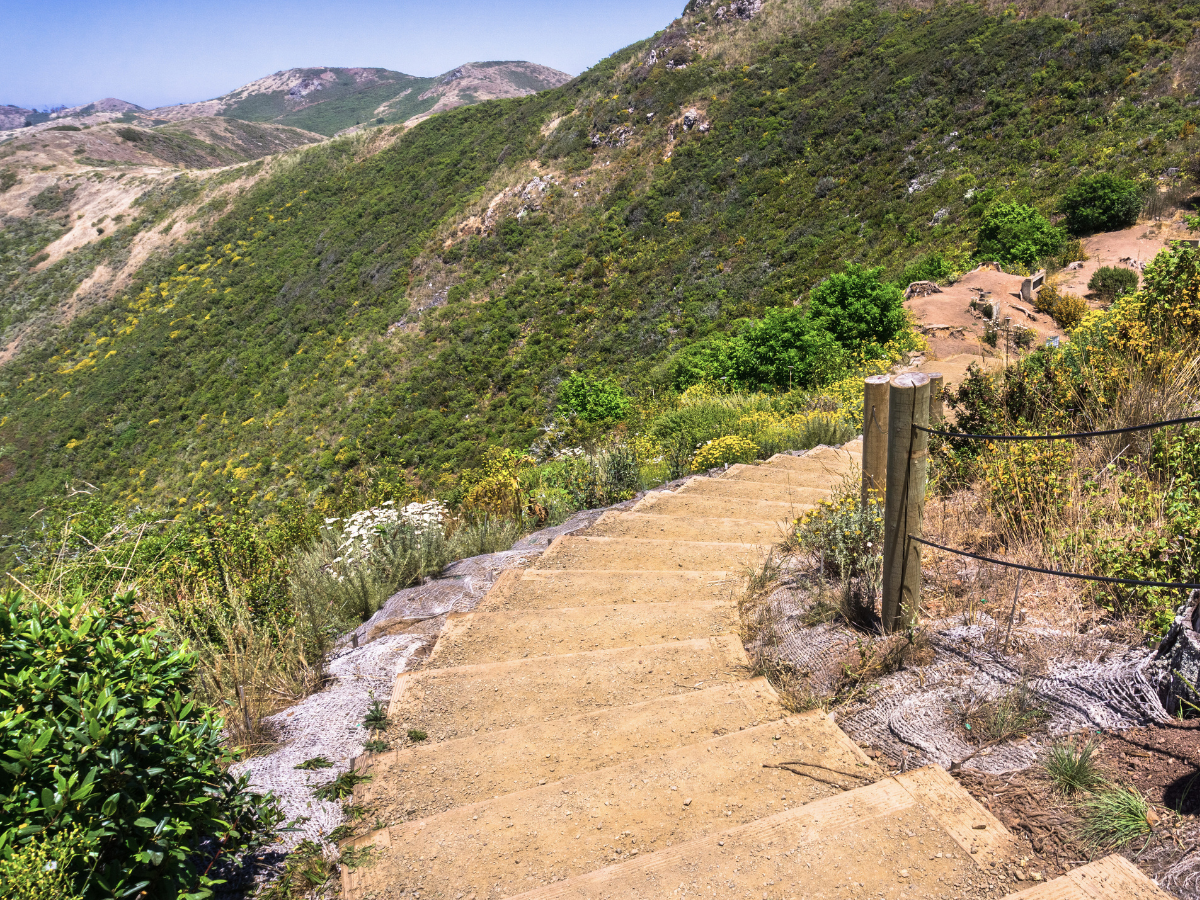 4 - The Space Between